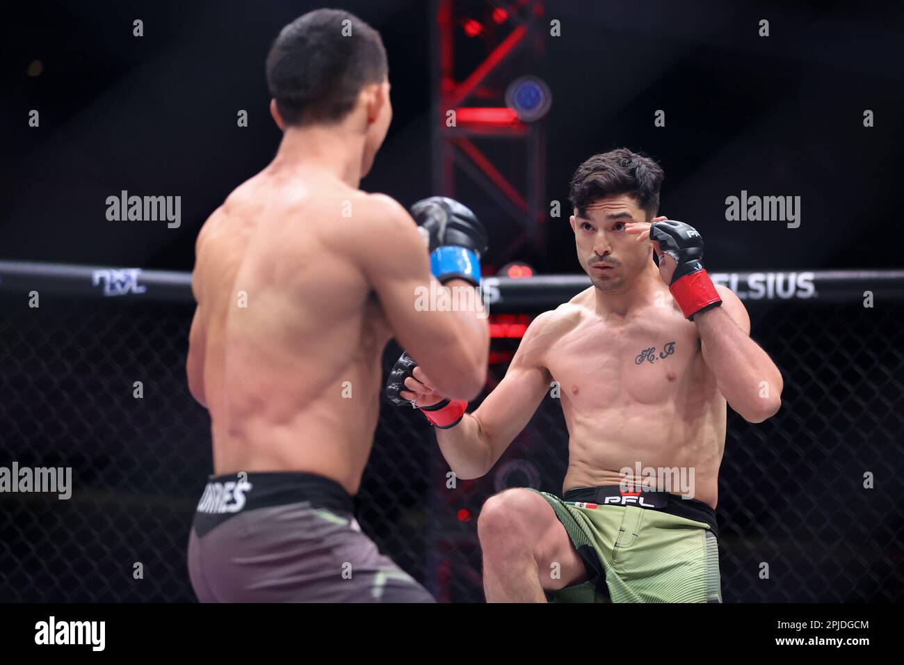 Las Vegas, NV, USA. 1st Apr, 2023. Featherweight (R) Alejandro Flores ...
