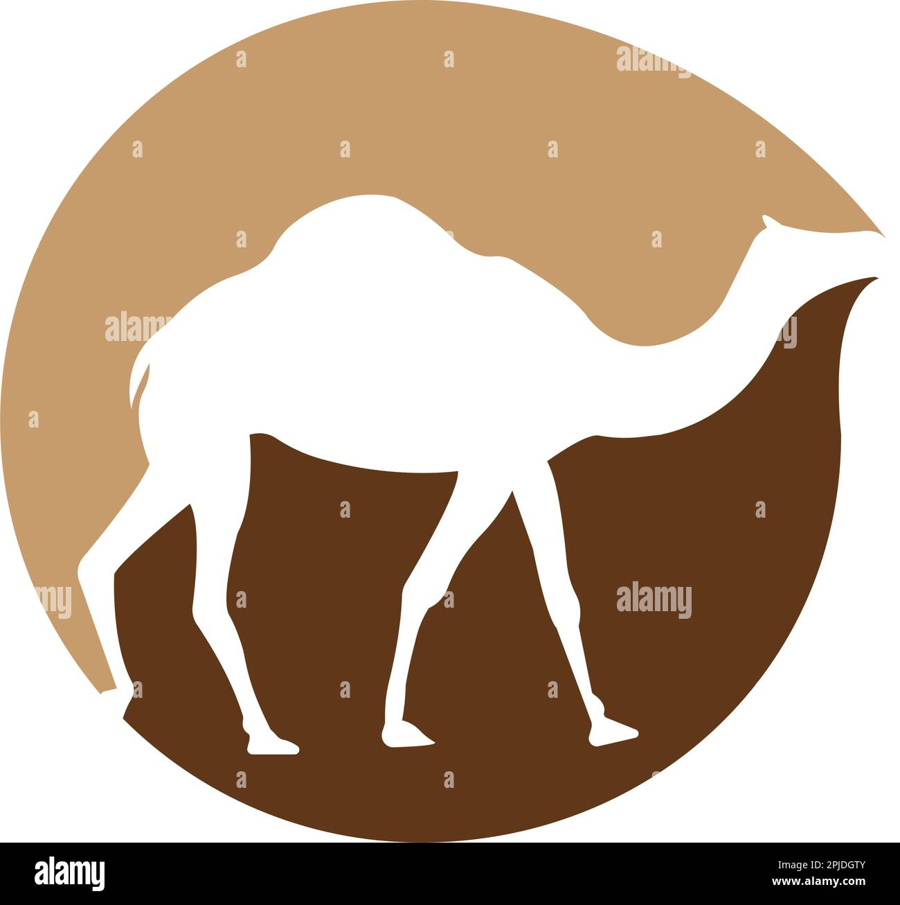 Desert animal vectors Cut Out Stock Images & Pictures - Alamy