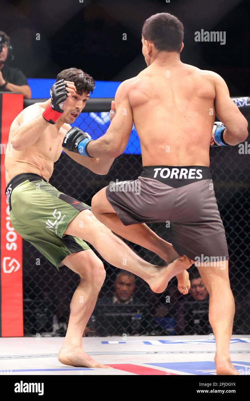 Las Vegas, NV, USA. 1st Apr, 2023. Featherweight (L) Alejandro Flores kicks (R) Daniel Torres ...