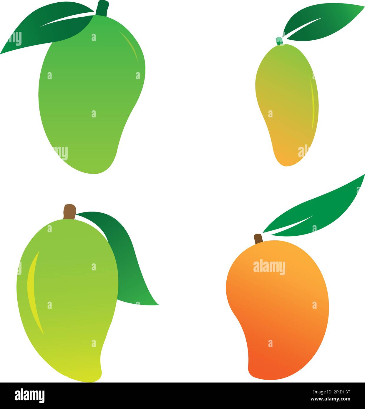 mango logo vector icon template Stock Vector Image & Art - Alamy