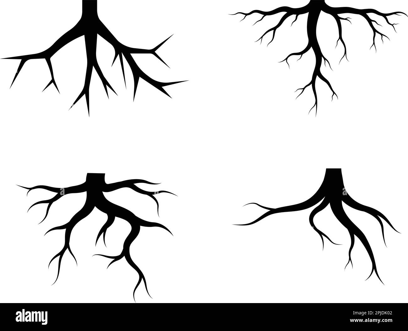 Root vector illustration template design Stock Vector Image & Art - Alamy