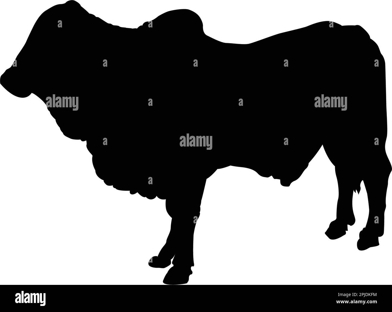 black cow logo vektor template Stock Vector Image & Art - Alamy