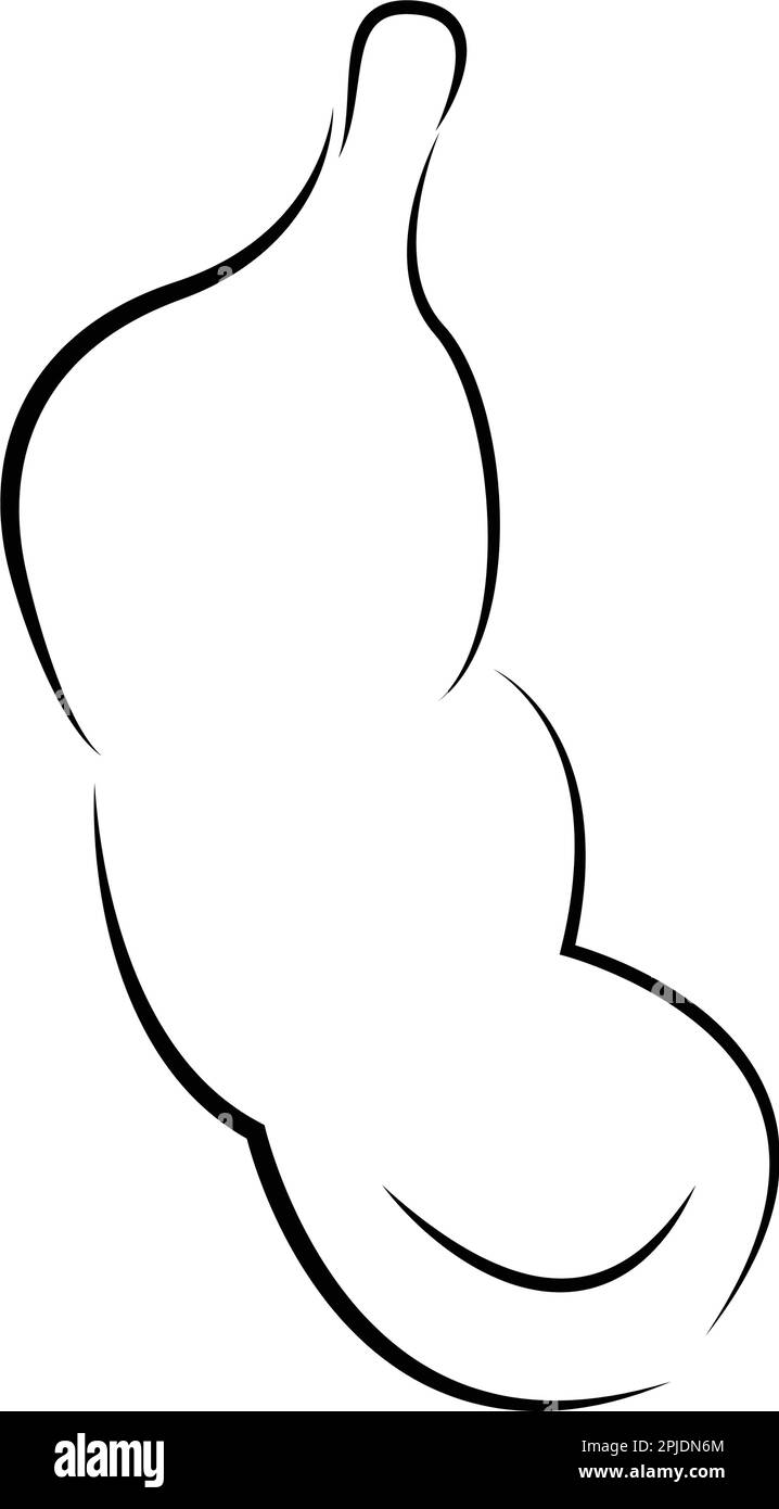 Tamarind logo hi-res stock photography and images - Alamy