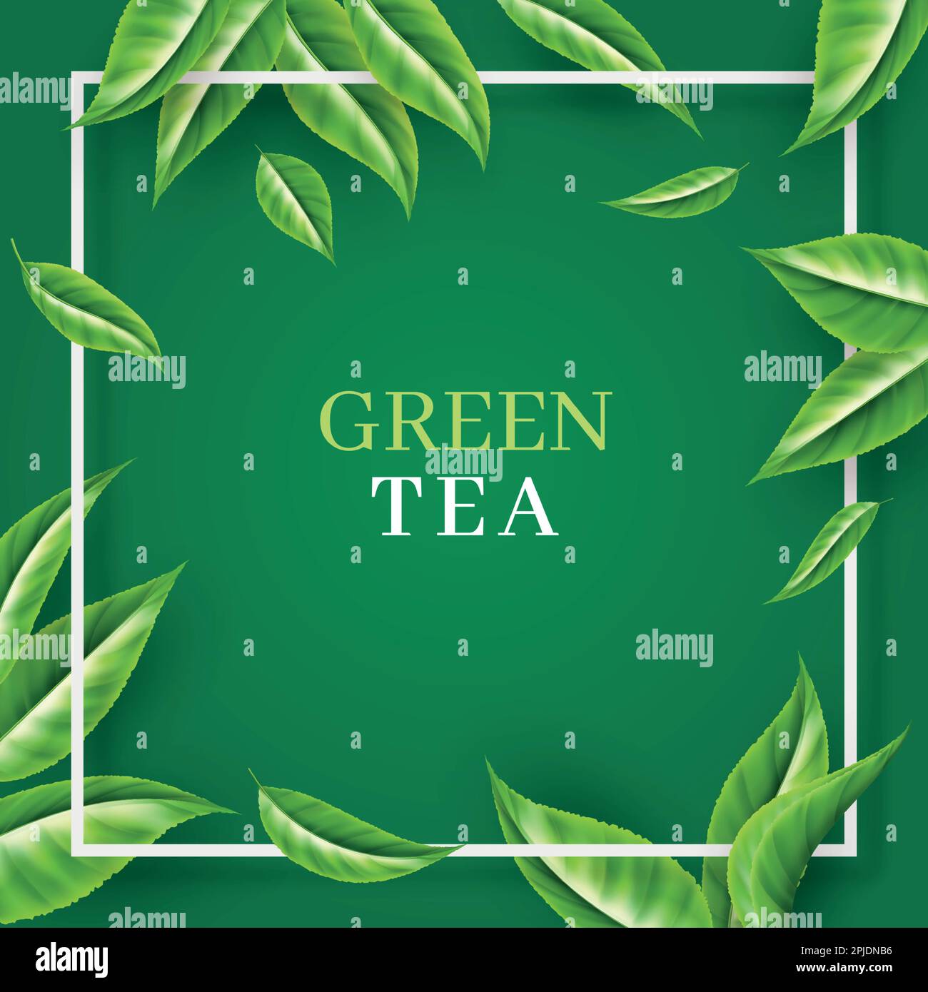 Green Tea Leaf Wallpaper