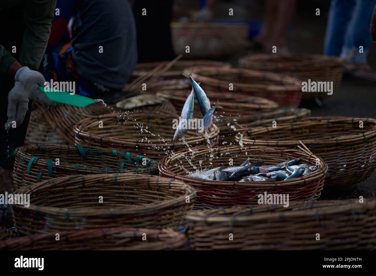 Bait buckets hi-res stock photography and images - Alamy