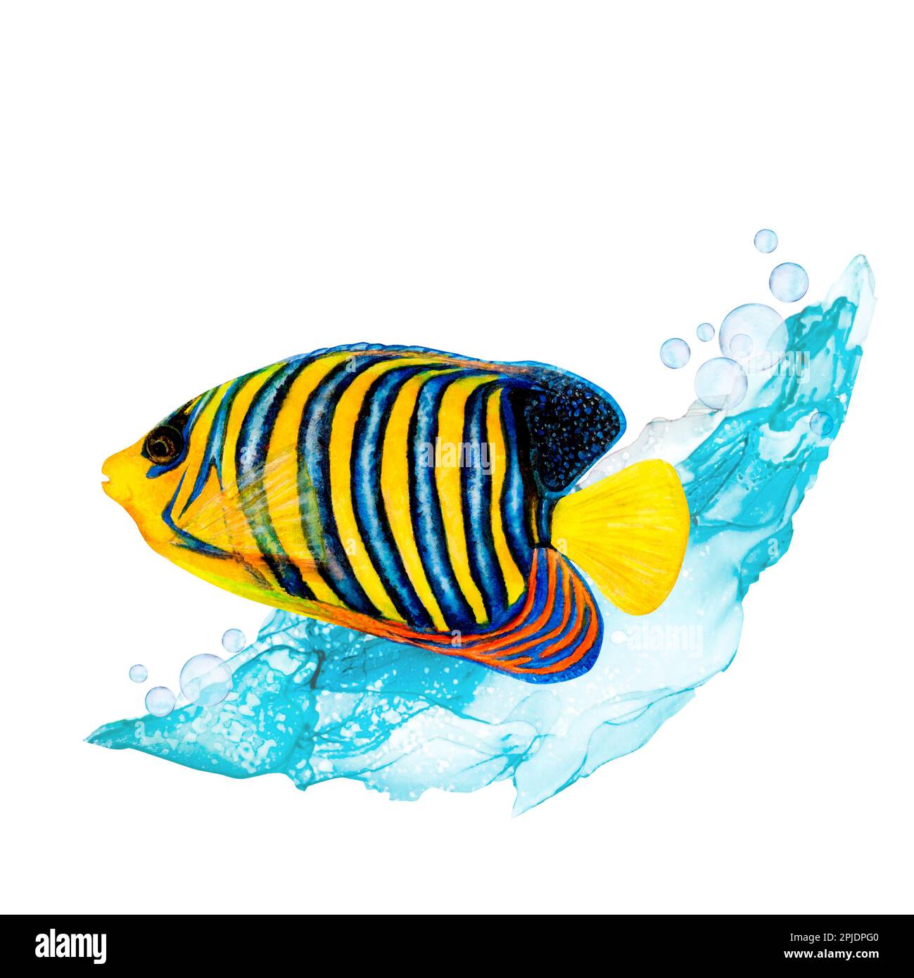 Watercolor drawing of royal angel fish and blue wave on white ...