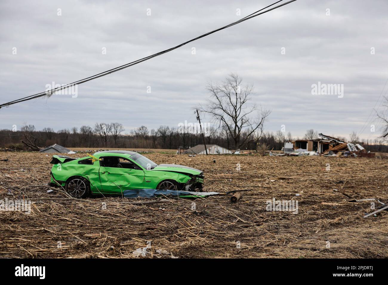 Sullivan, USA. 01st Apr, 2023. A Mustang rests in a corn field after a ...