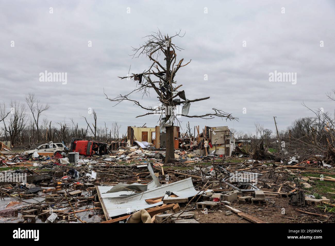 Sullivan, USA. 01st Apr, 2023. A tree stands mangled above debris after ...
