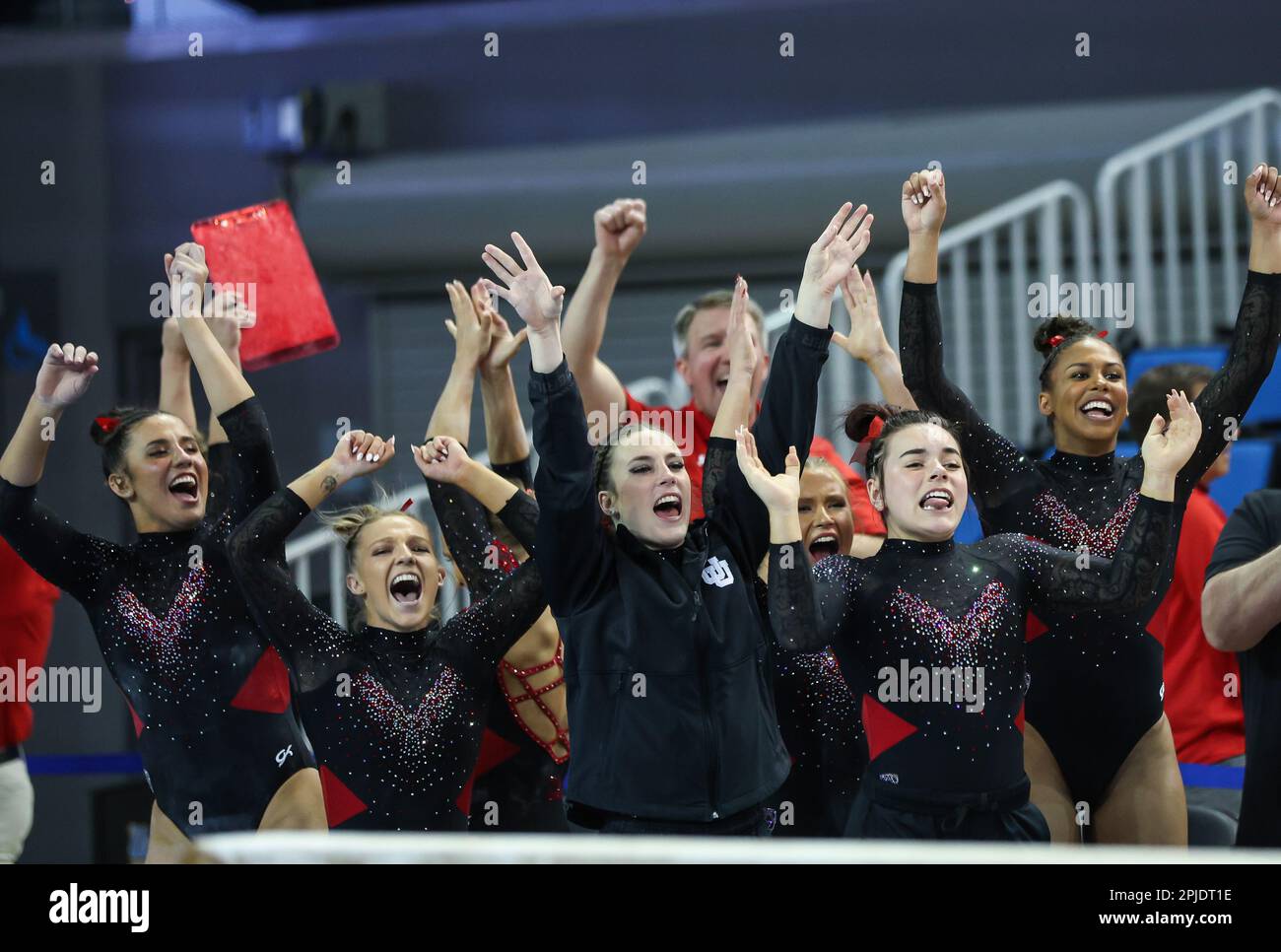 Los Angeles, OK, USA. 1st Apr, 2023. The Utah gymnastics team cheers on ...