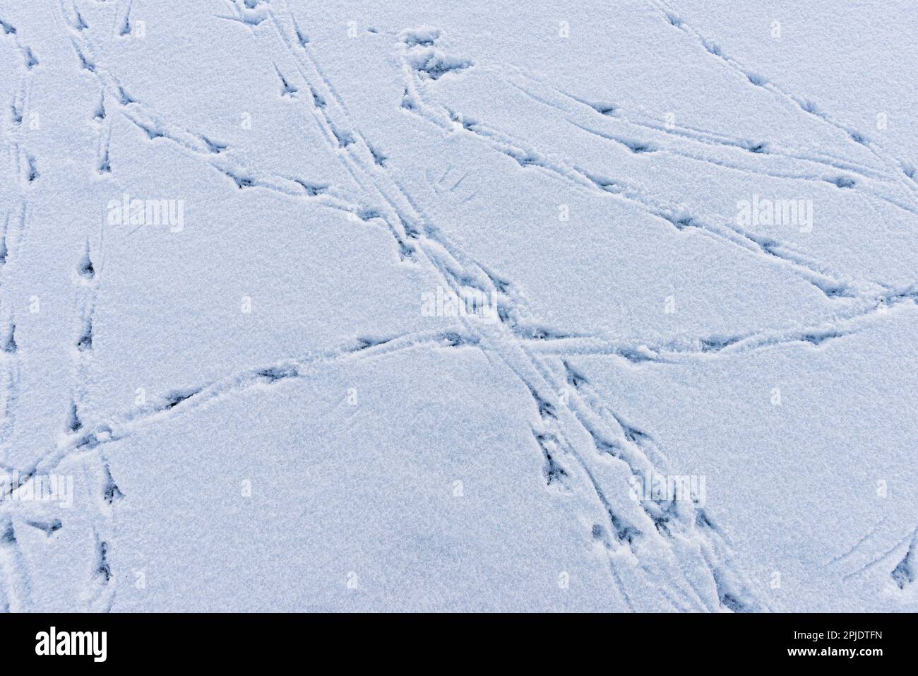 Birds eye view beach parking hi-res stock photography and images - Alamy