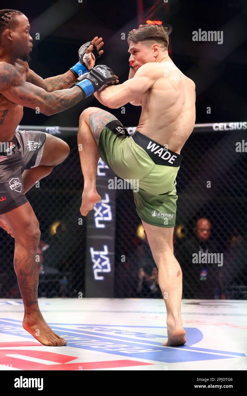 Muay Thai Front Kick