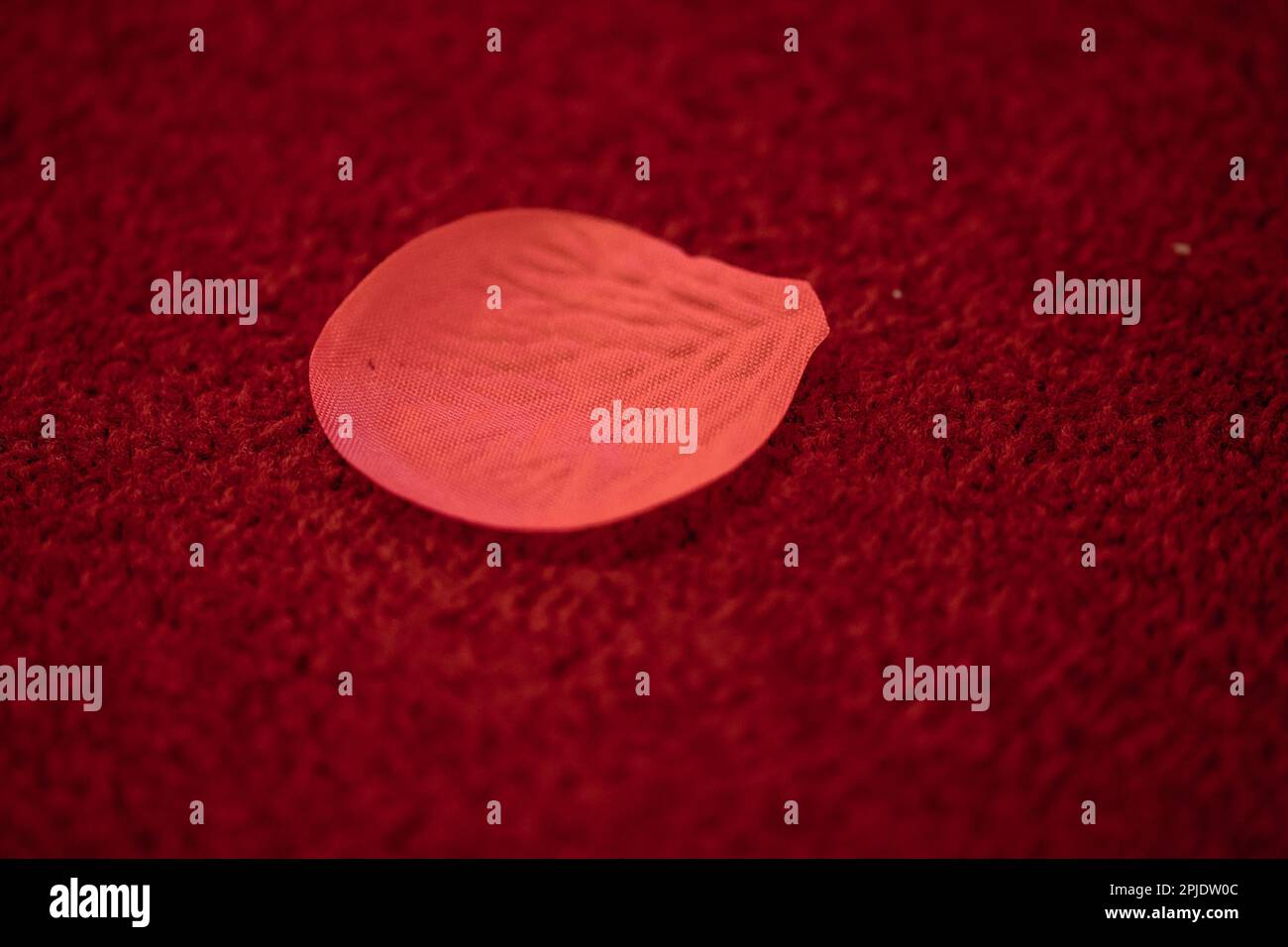 Fake rose petal on red carpet at a wedding Stock Photo - Alamy