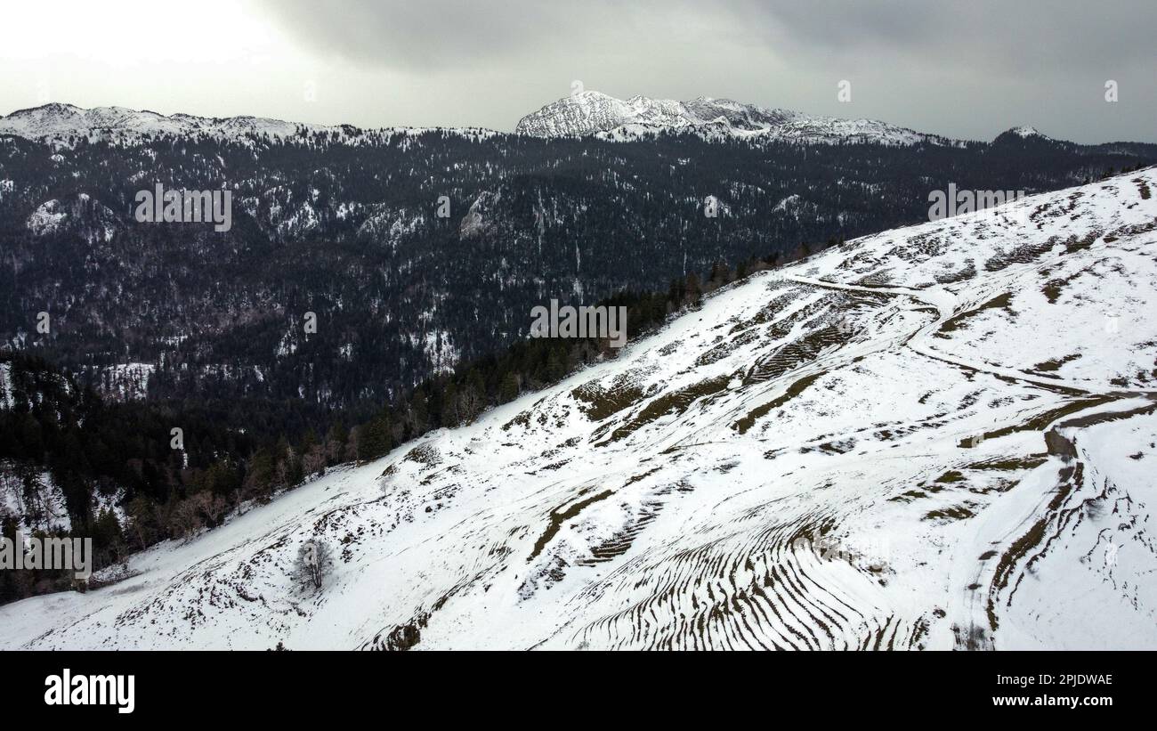 Chartreuse aerial hi-res stock photography and images - Alamy