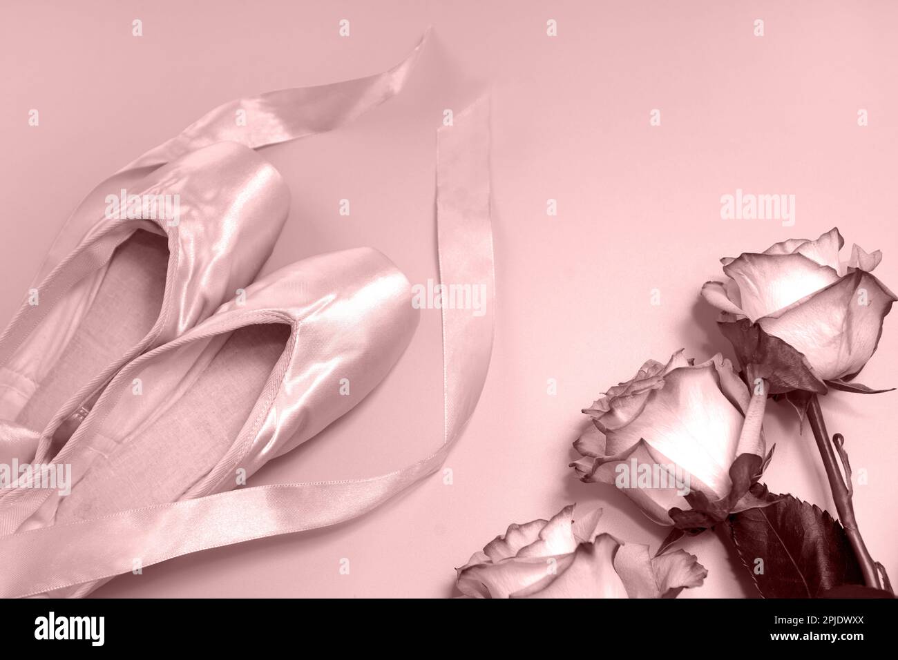 ballet slippers lying on pink background with roses and ribbons ...