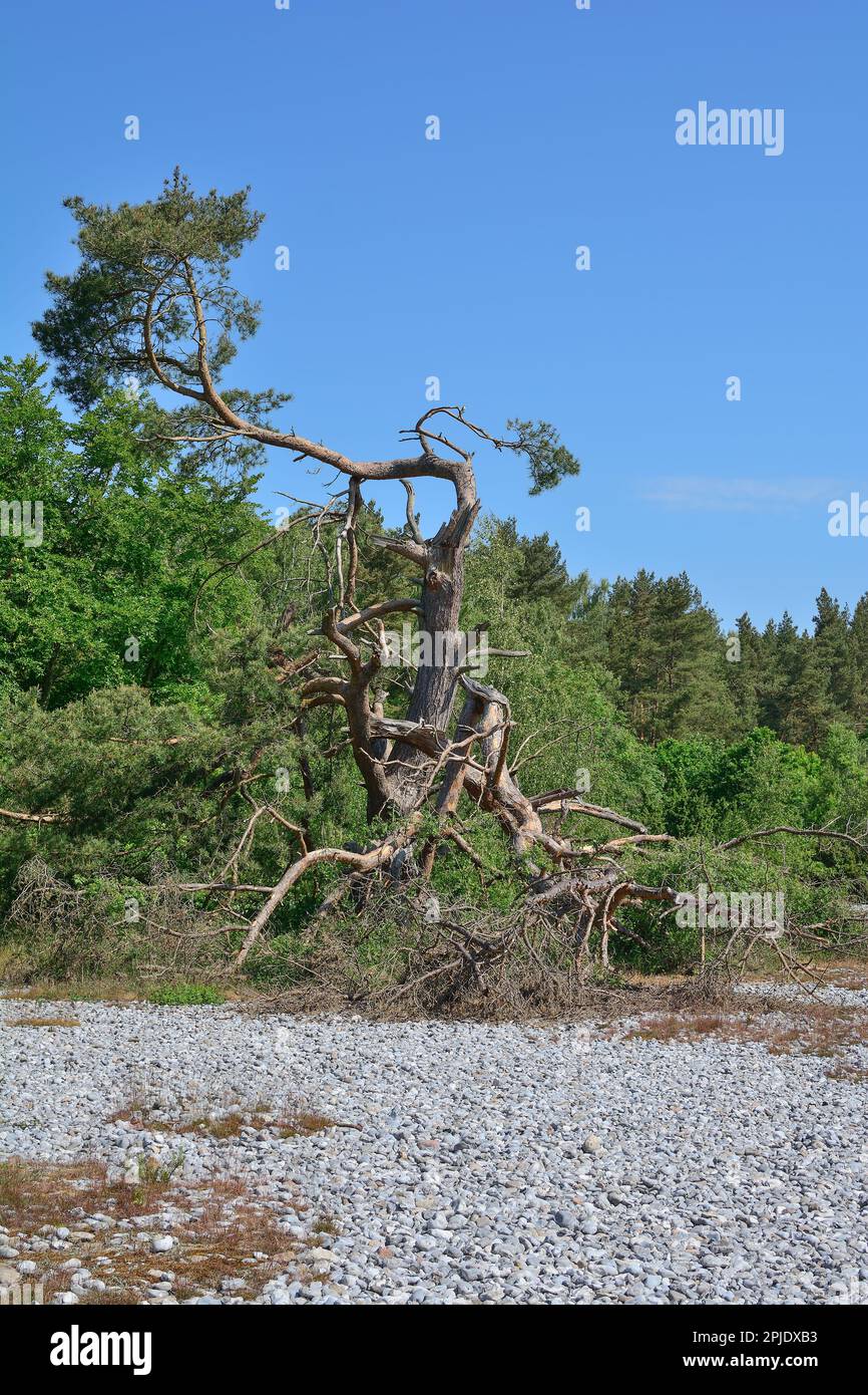 Flintstone hi-res stock photography and images - Alamy