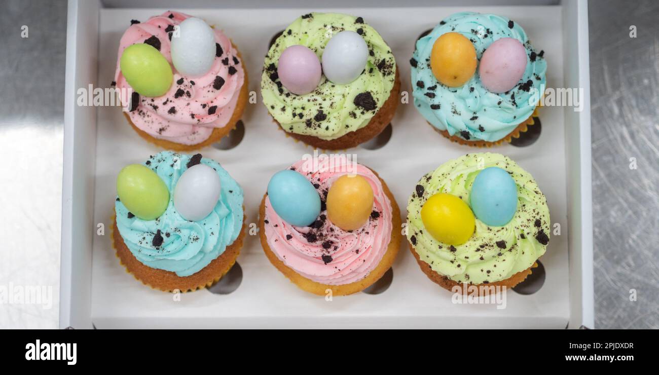easter pastel handmade group of muffins with confetti chocolate eggs on ...
