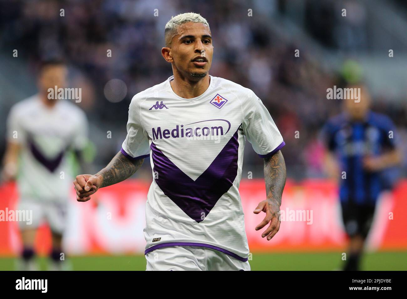 Fiorentina dodo hi-res stock photography and images - Alamy