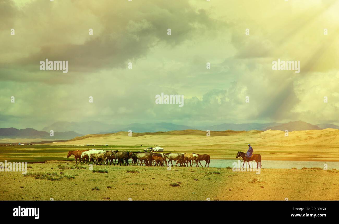 Sands Mongol Els, Mongolian shepherd on a horse. Nomad Stock Photo - Alamy