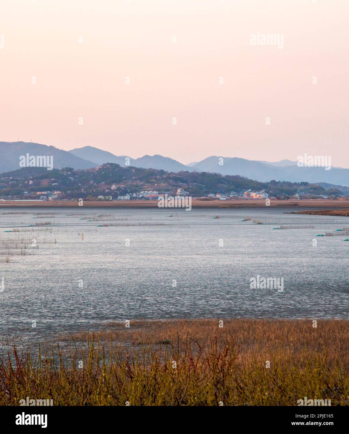 Suncheon Bay, Mar 27, 2023 : Suncheon Bay, a coastal wetland in ...