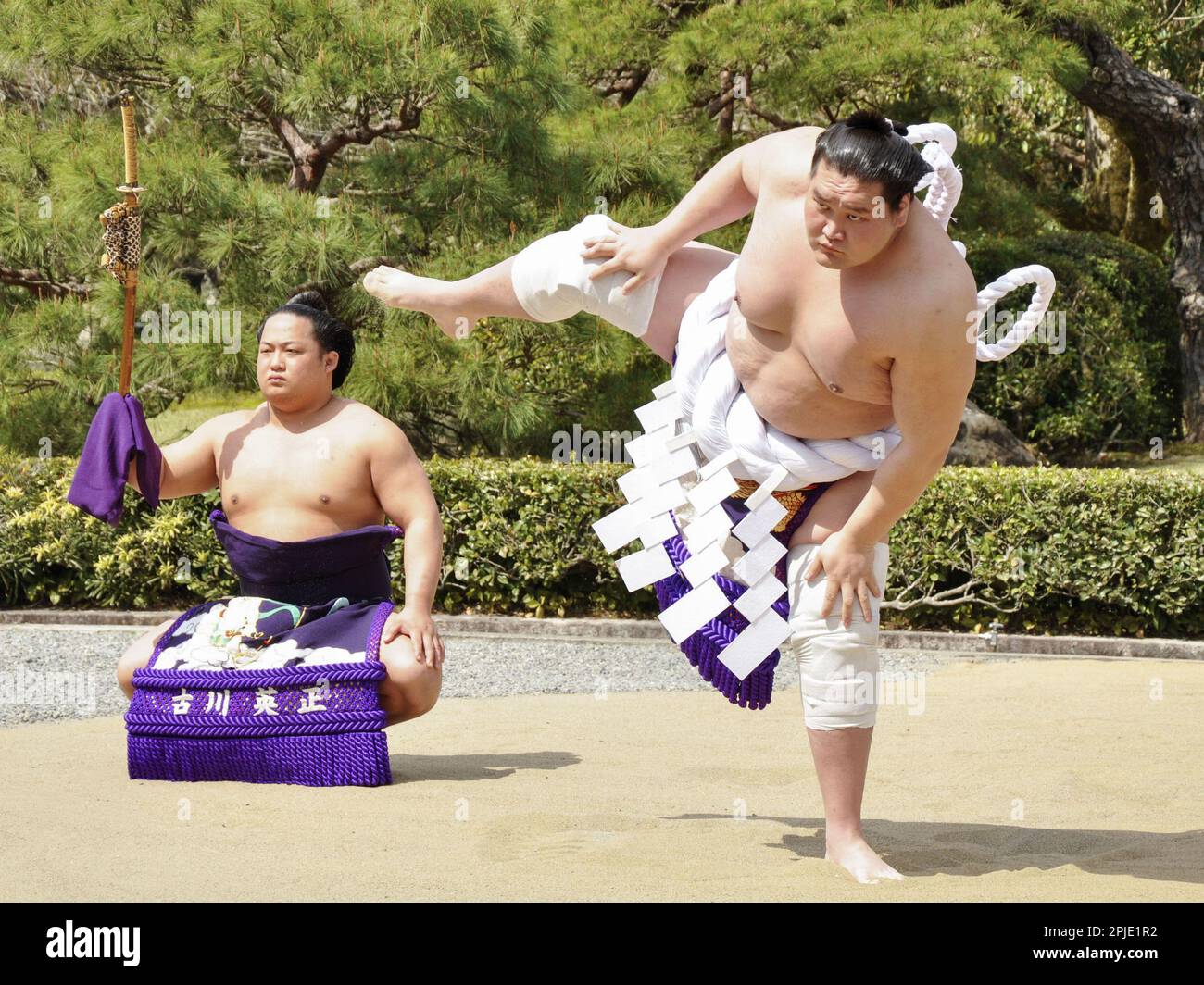 Sumo grand champion Terunofuji performs a ceremonial ring-entering ...