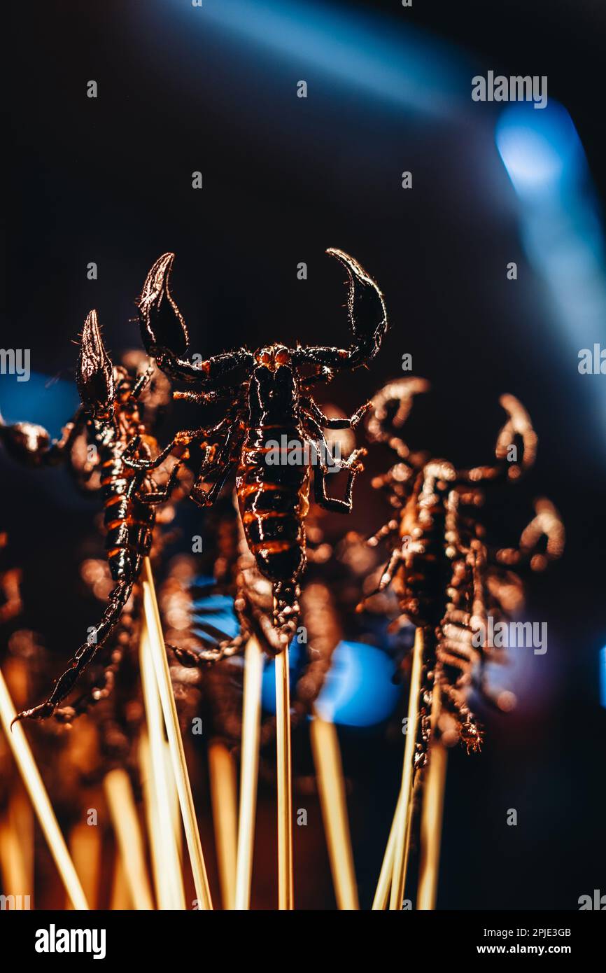 Dried scorpion on a wooden stick. Exotic Thai street food snack Stock ...