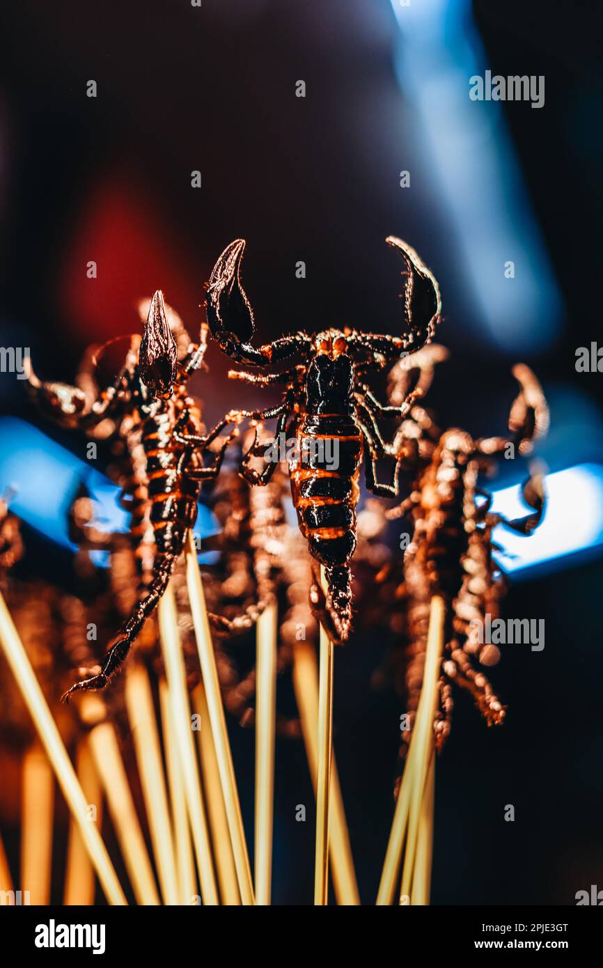 Dried scorpion on a wooden stick. Exotic Thai street food snack Stock ...