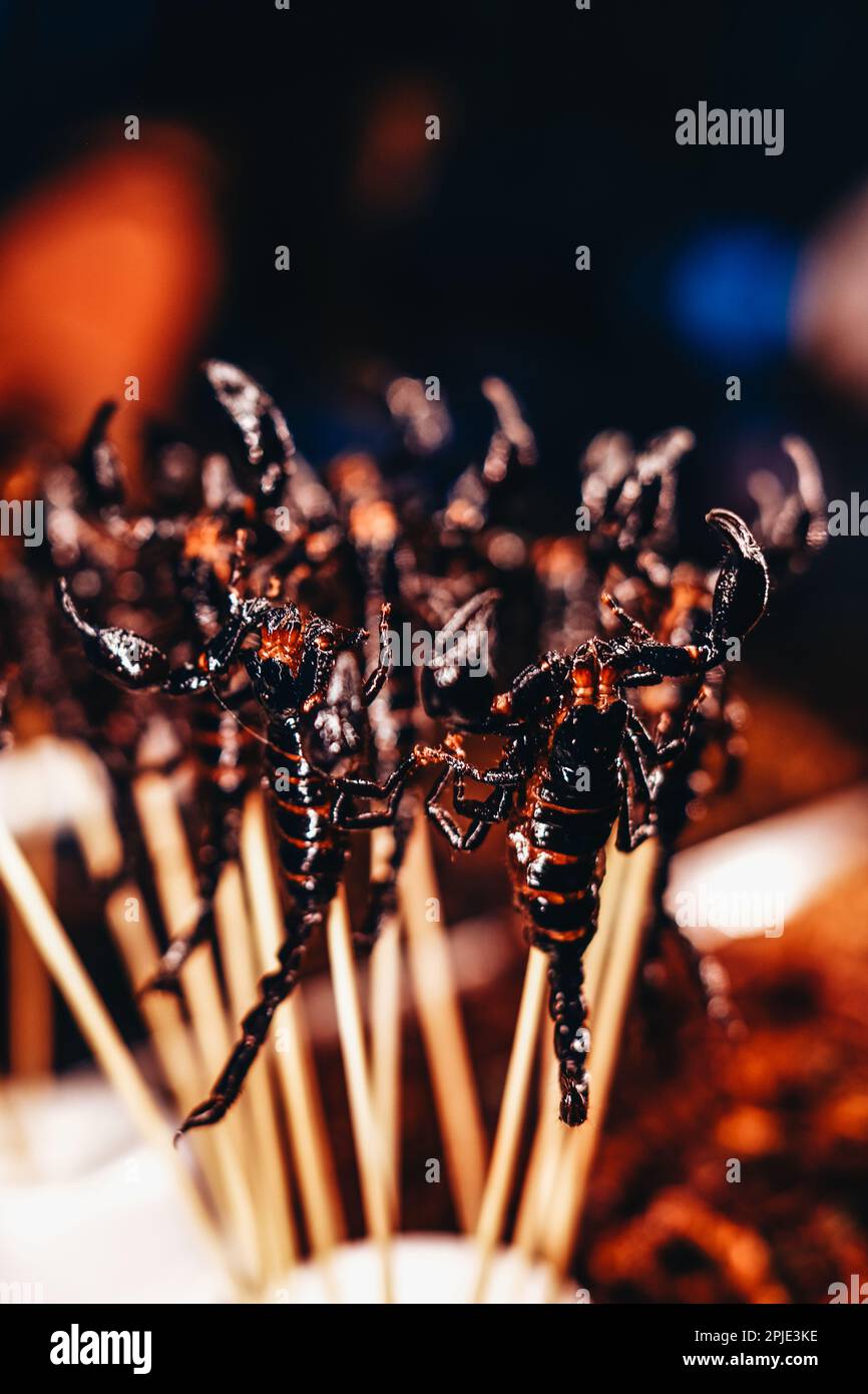 Dried scorpion on a wooden stick. Exotic Thai street food snack Stock ...