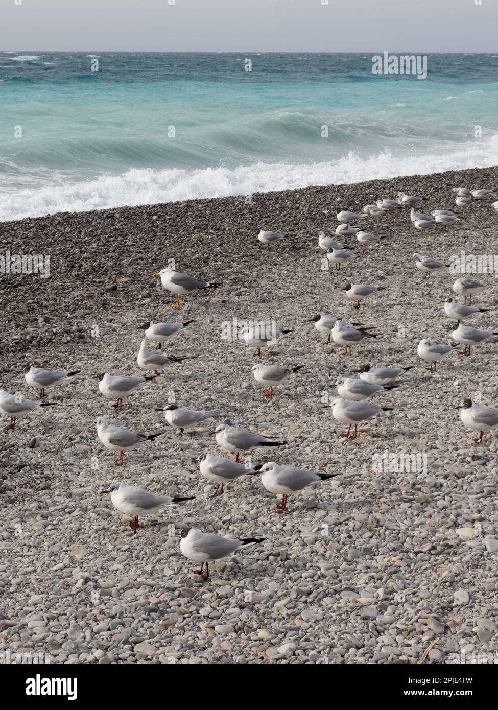 Pebble beach of Nice, France with azure waves of mediterranean sea and ...