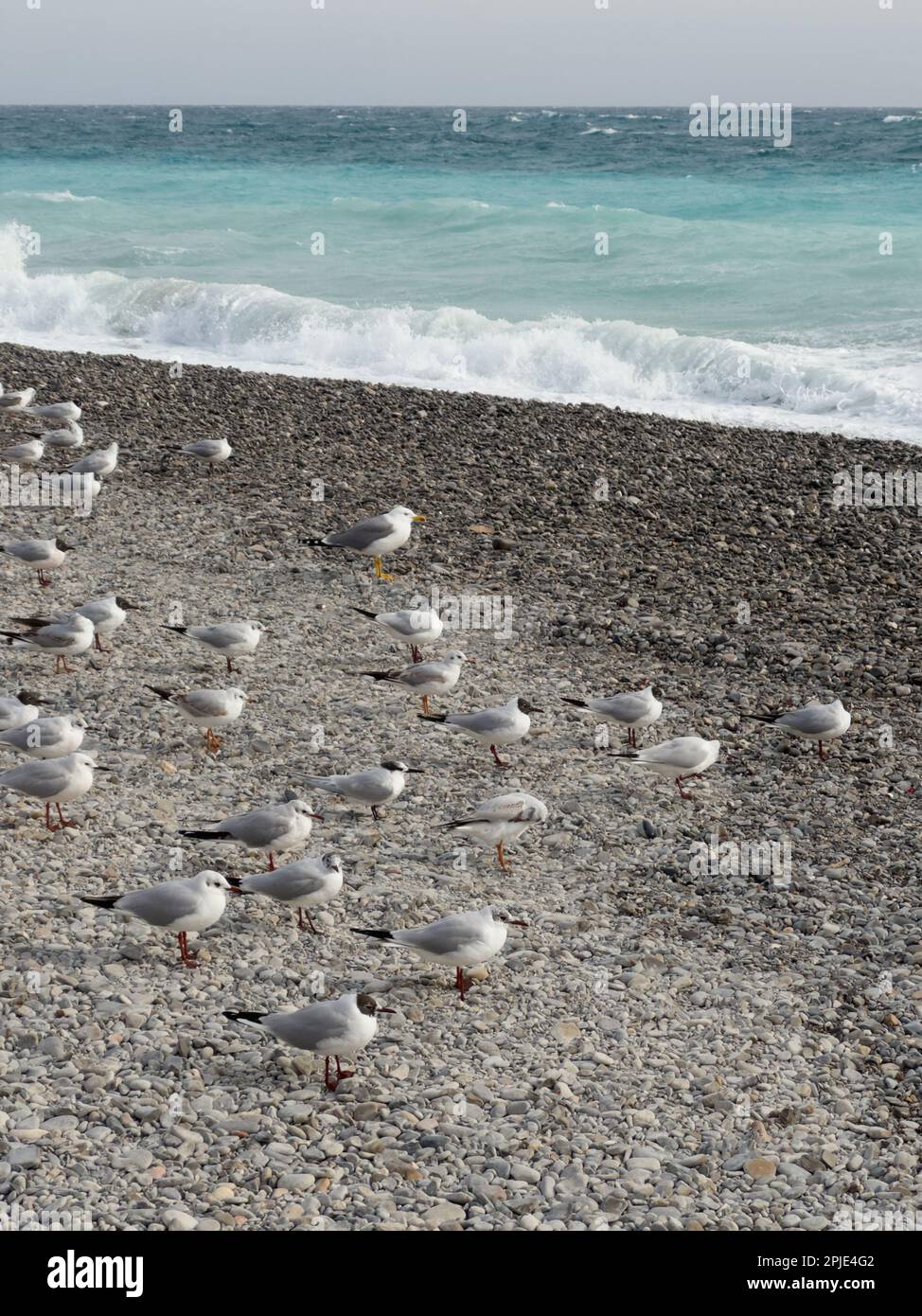 Pebble beach of Nice, France with azure waves of mediterranean sea and ...