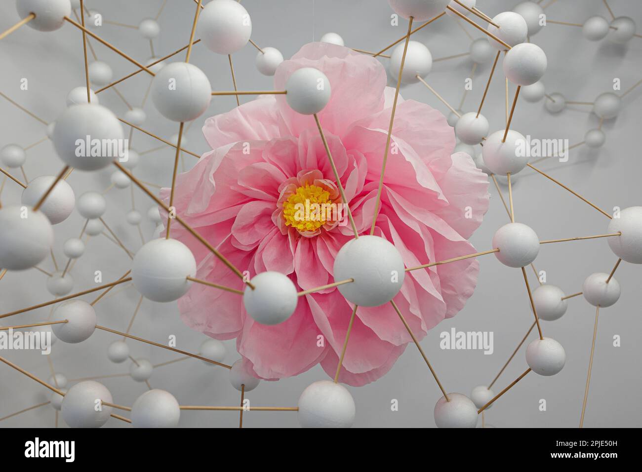 Artistic Depiction of a Pink Flower in Crepe Paper surrounded by a ...