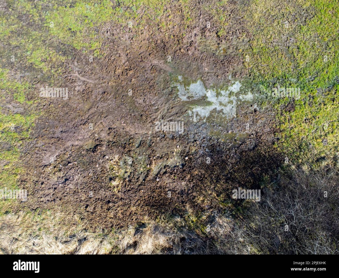 Pig damage hi-res stock photography and images - Alamy