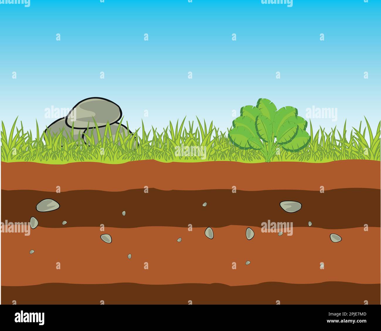 Herb layers Stock Vector Images - Alamy