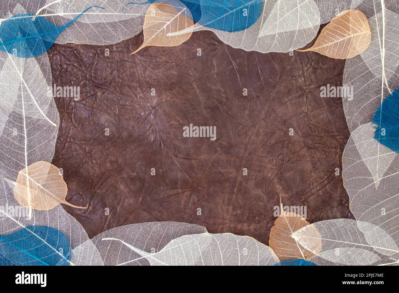 Fiber structure of dry leaves forming a frame around brown leather ...
