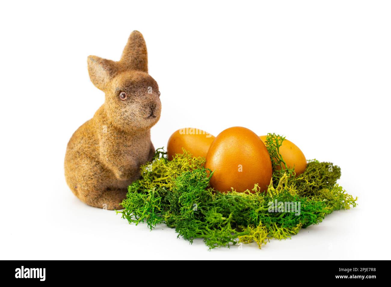 Easter bunny guarding three golden eggs in a moss nest, isolated on ...