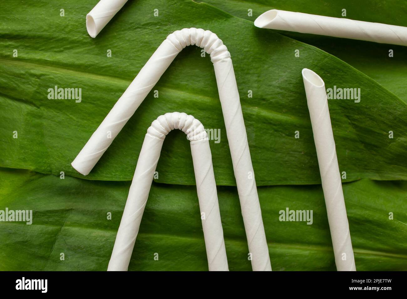 Kraft paper production hi-res stock photography and images - Alamy