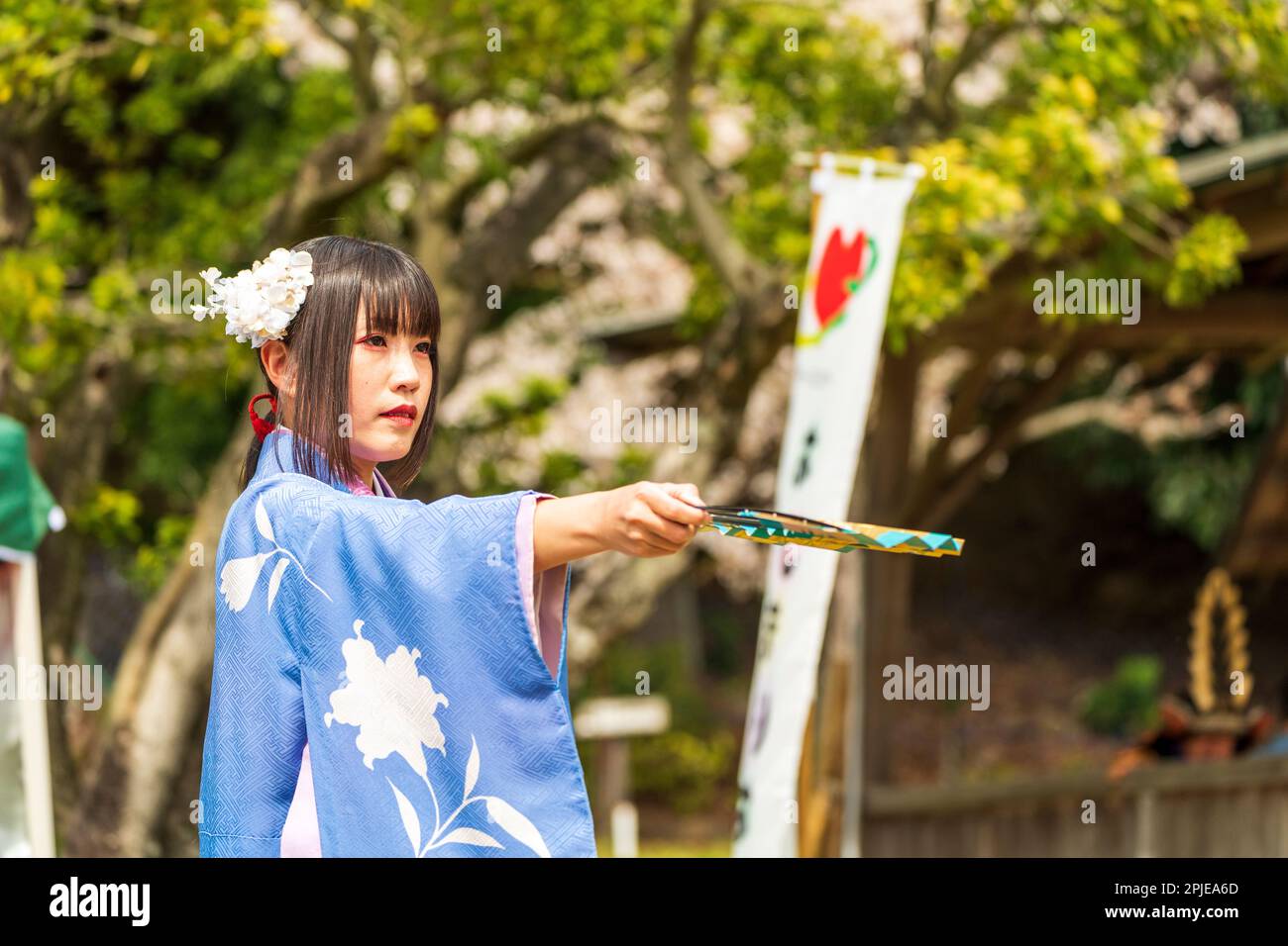 Japanese Woman dressed in blue yukata jacket performing a dance in ...