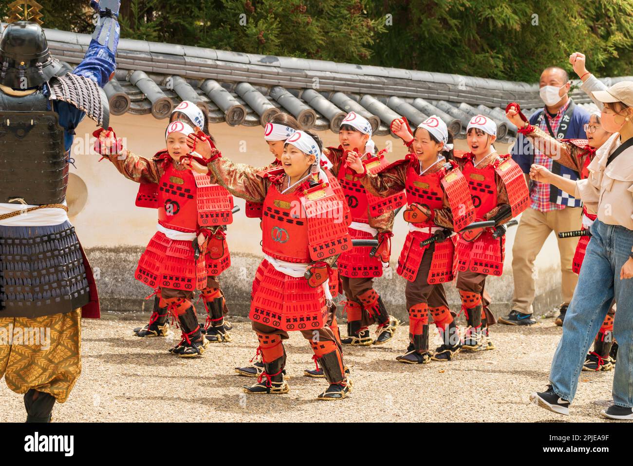 The annual springtime cherry blossom festival at Hon-Tatsuno in Japan ...