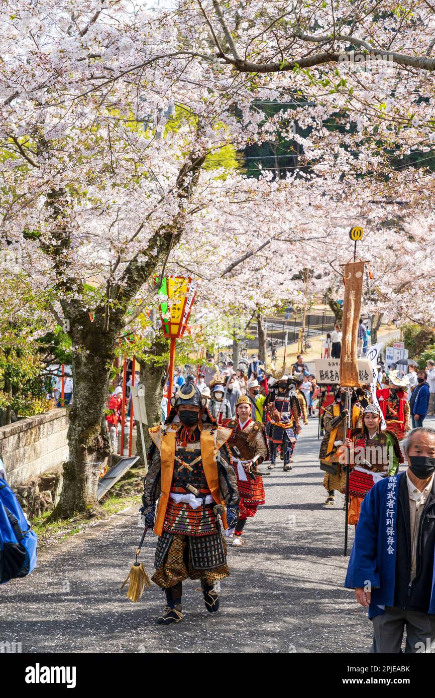 Samurai parade at the Hon-Tatsuno springtime festival in Japan. Men and ...