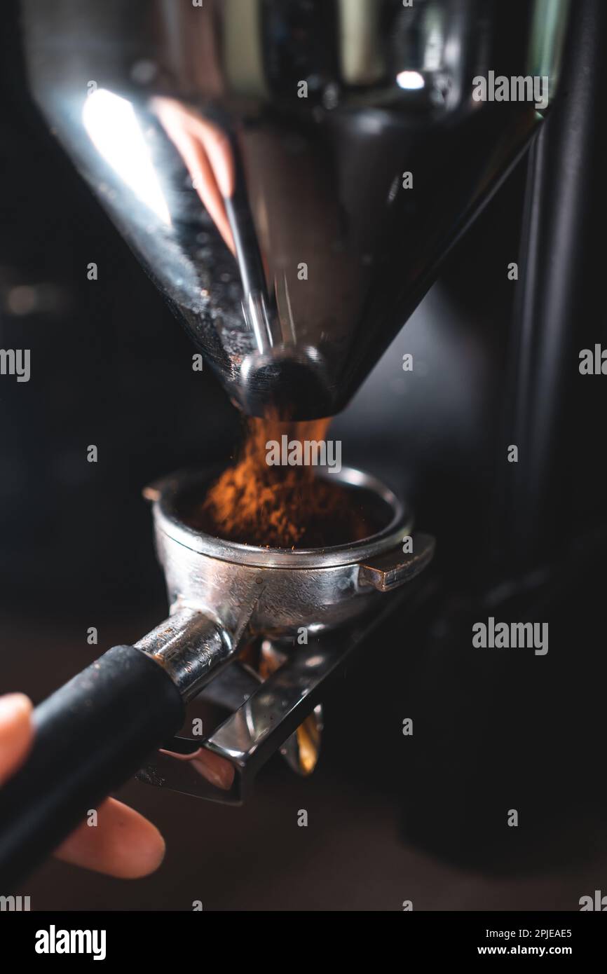 barista with holder grinding coffee beans with professional grinder ...