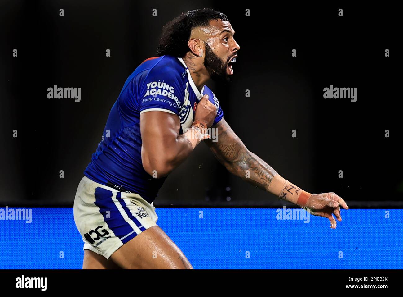 Josh Addo-Carr of the Bulldogs celebrates a try during the NRL Round 5 ...