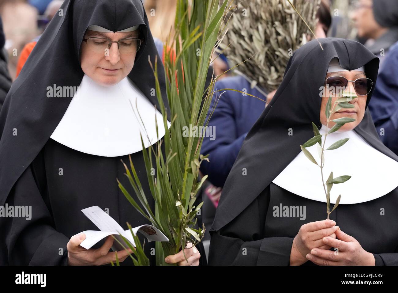 Nuns wait for the start of the Palm Sunday's mass celebrate by pope ...