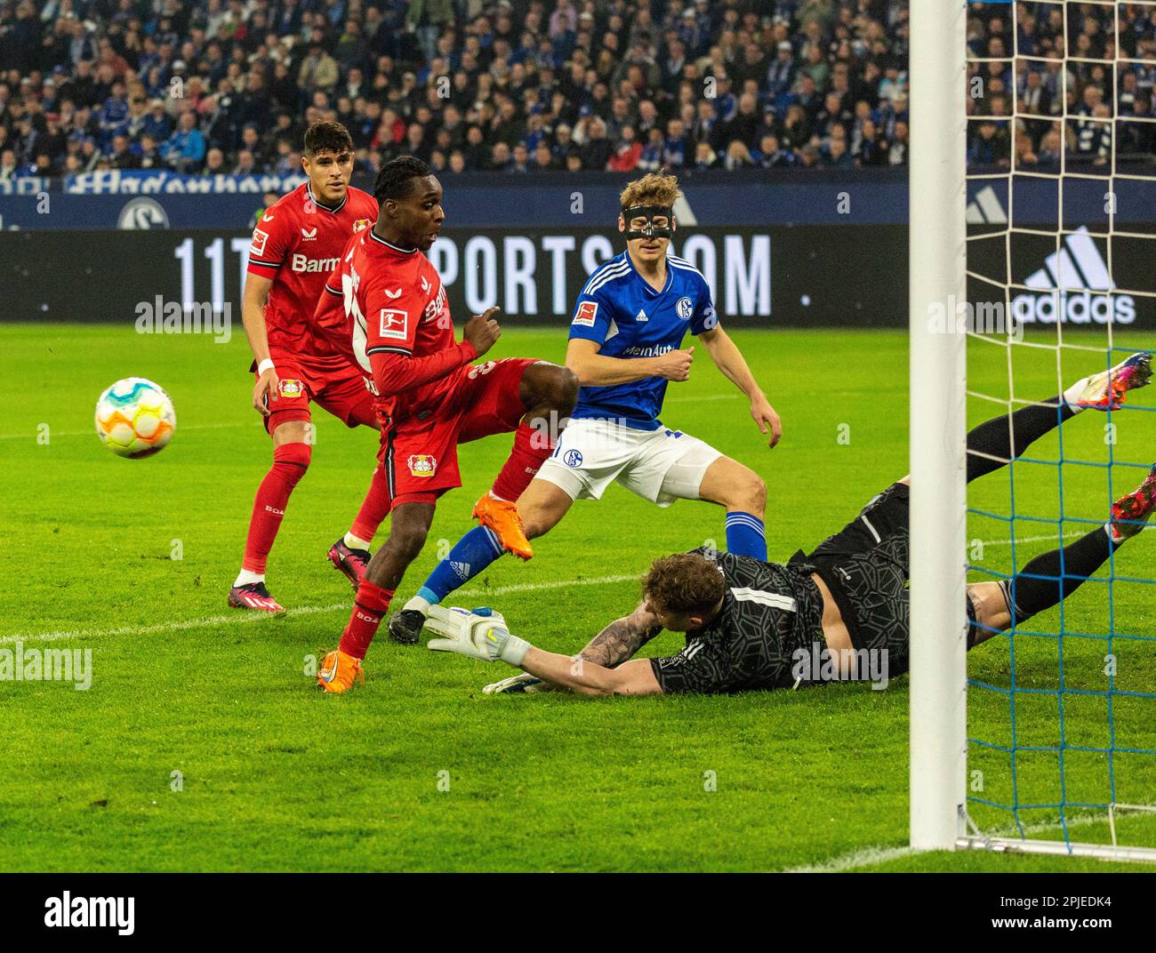 Martin lev hi-res stock photography and images - Alamy