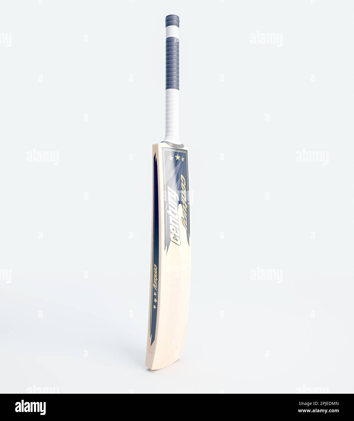 A modern wooden cricket bat with generic brand decals on an isolated ...