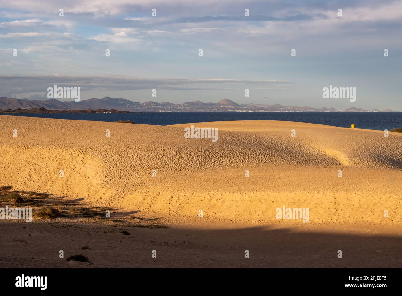 Sand dunes in the natural park, colored during golden hour. Mountains ...