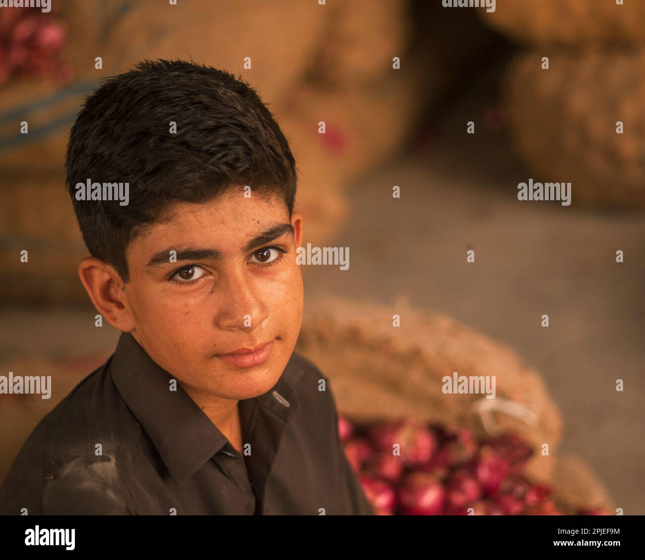 Mandi india hi-res stock photography and images - Alamy