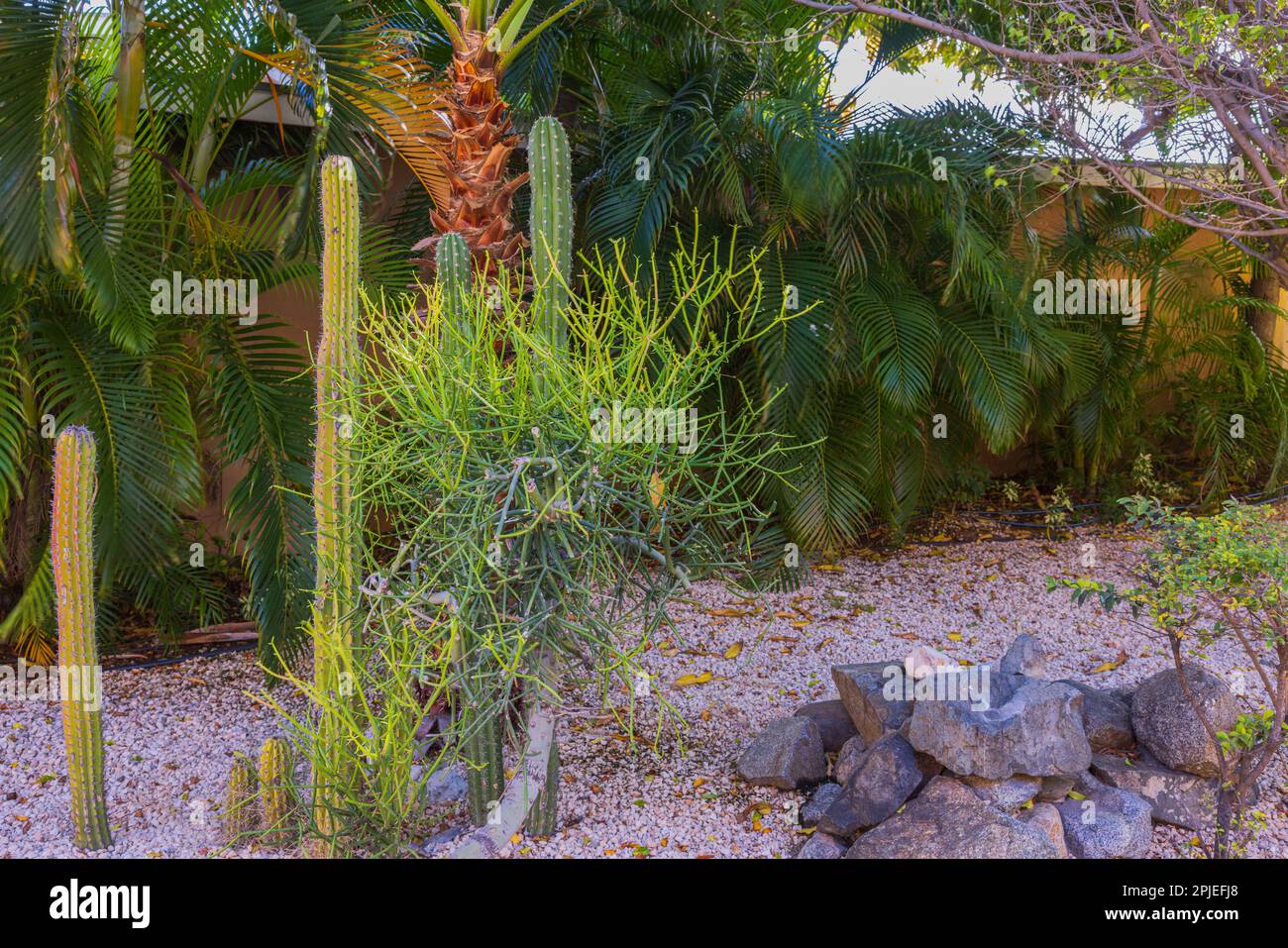 Beautiful view of hotel garden landscape design with tropical plants ...