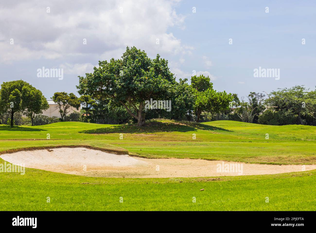 Beautiful view of green grass golf field on Aruba island Stock Photo ...