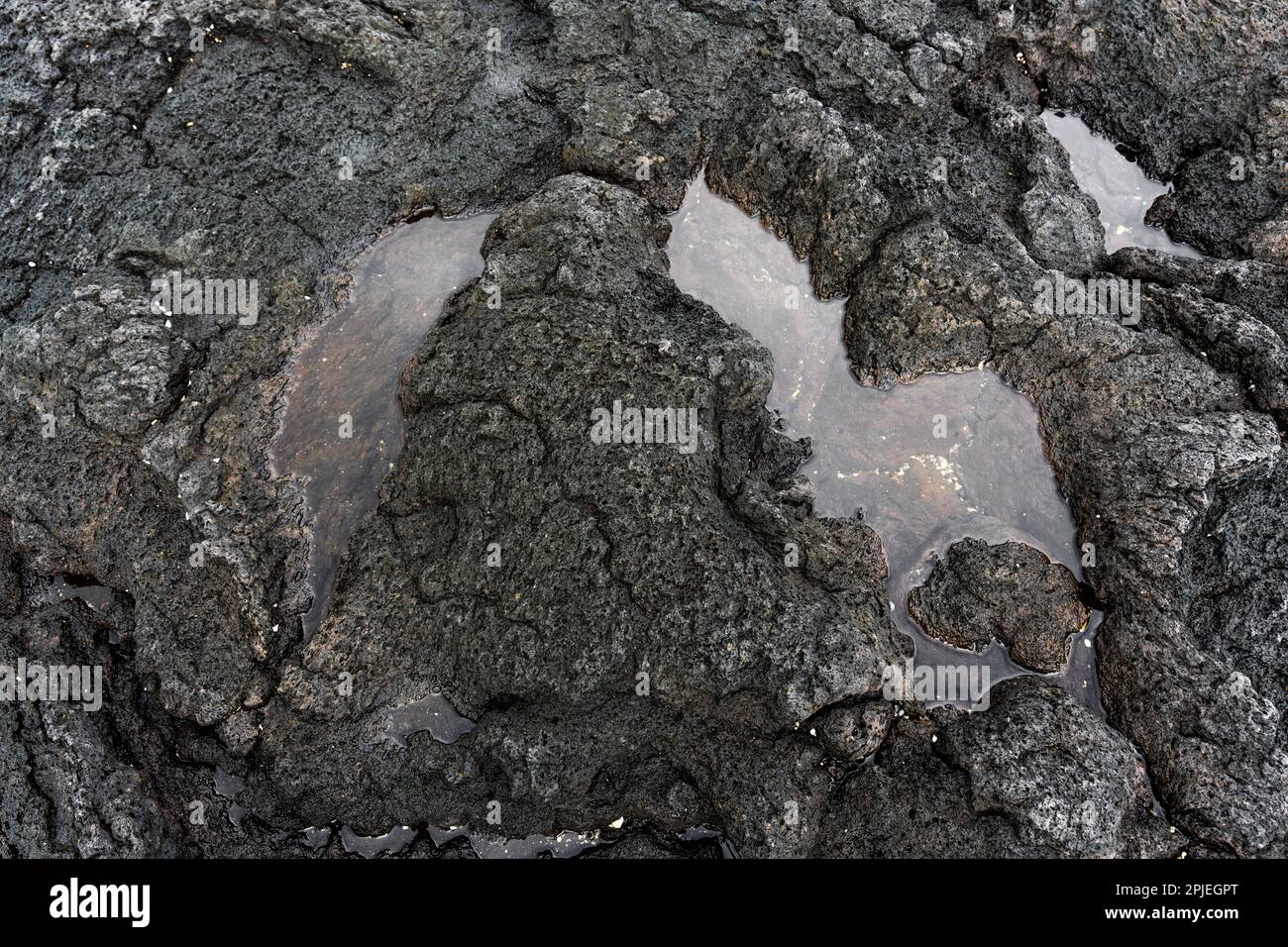 Abstract nature background: Pools of water from the ocean tide nestled ...
