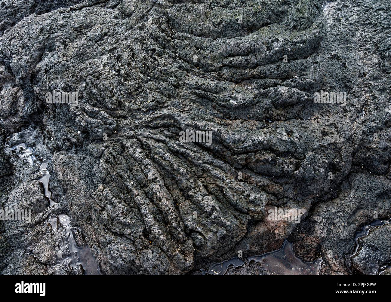 Abstract nature background: Hardened lava rock of the ocean coastline ...