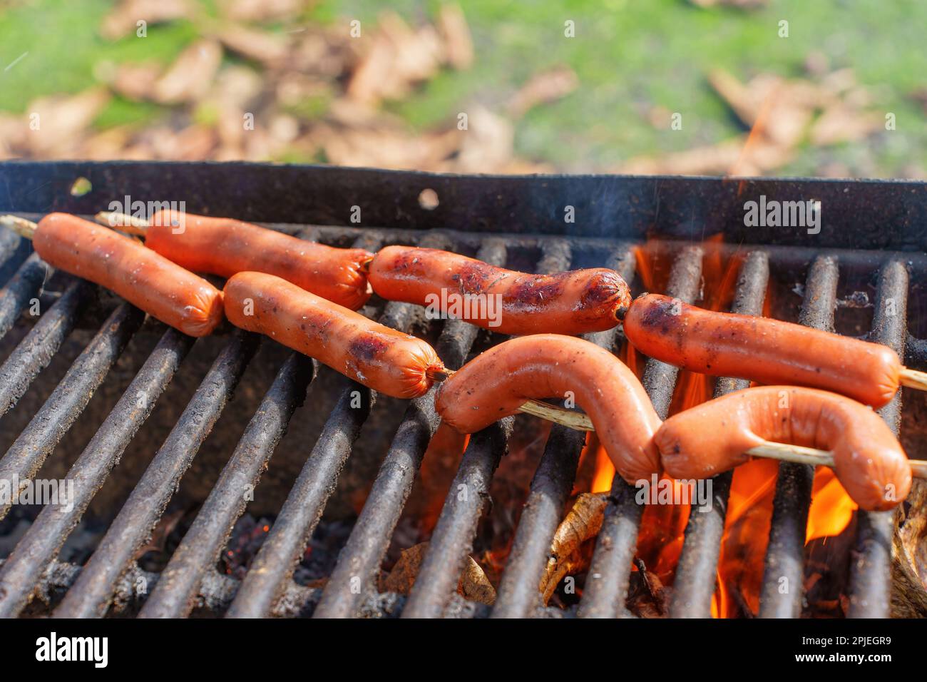 The sizzling sausages on the grill grate over a crackling fire make for ...